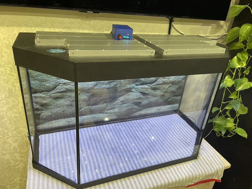 Аквариум с профессиональным светом