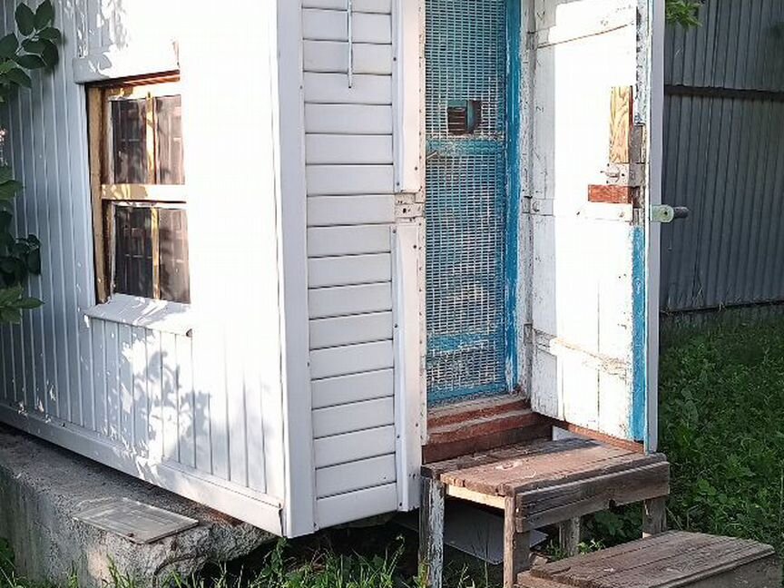 Голубятня. Будка для голубей. Голуби