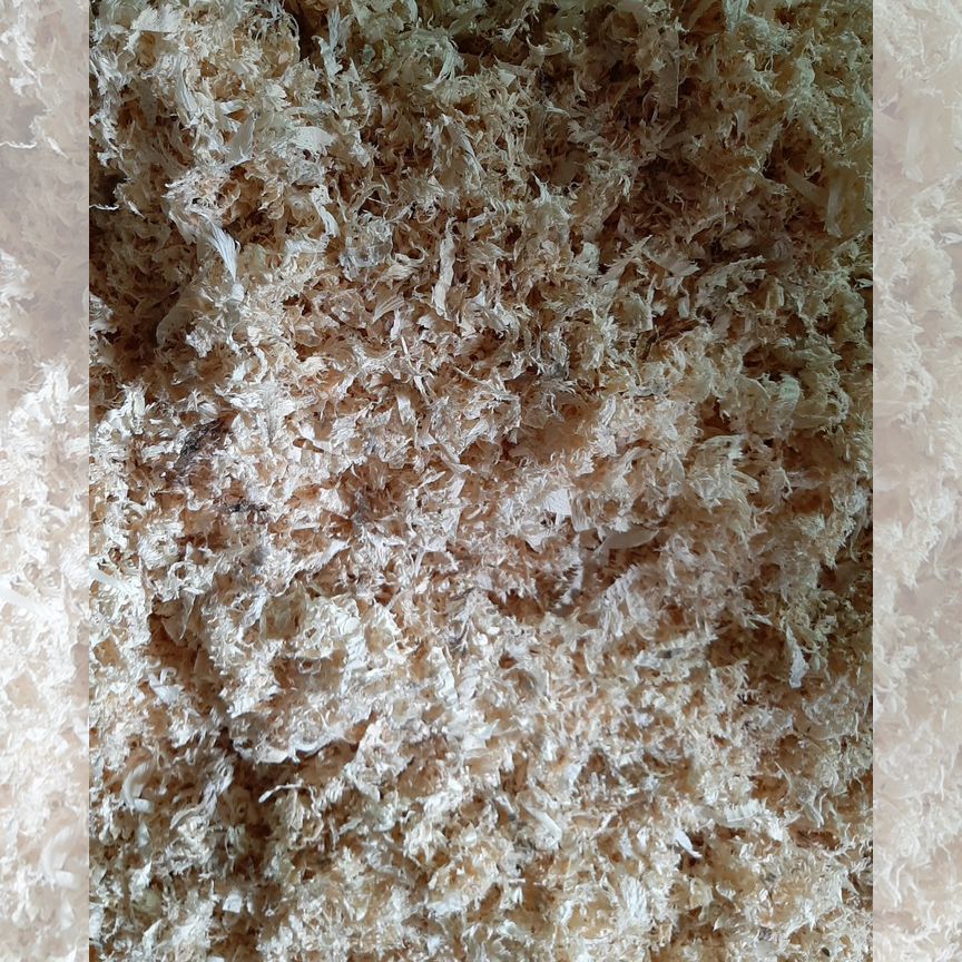 Продаётся сухая стружка в мешках