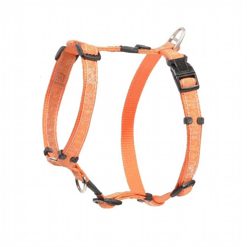 Rogz шлейка Fancy dress, "Веселая прогулка&q