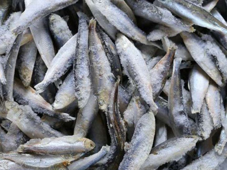 Рыба на корм животным и птицам