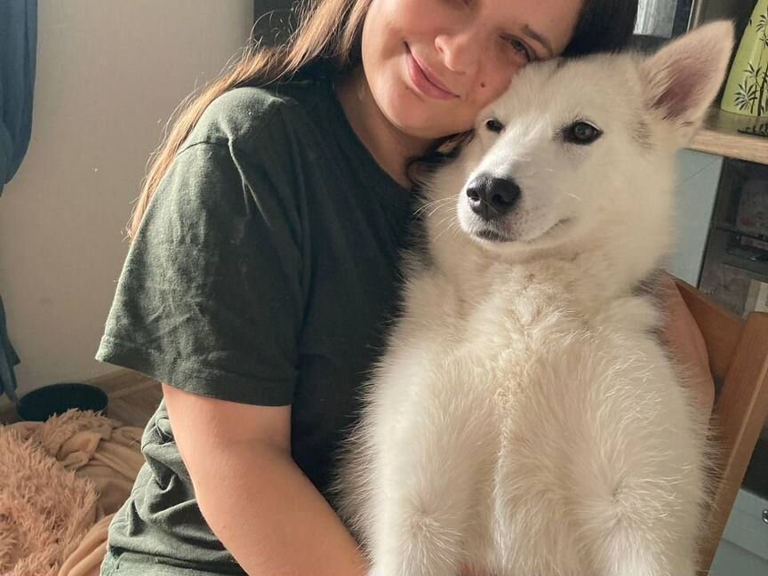 Собака Руся обожает людей