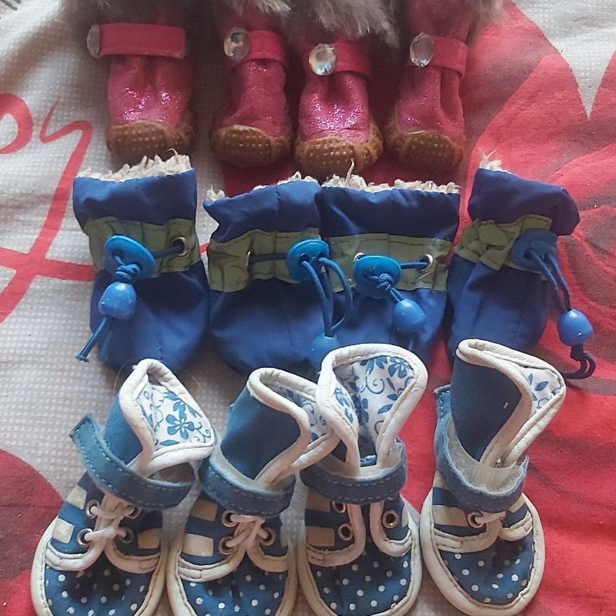 Обувь для собак мелких пород