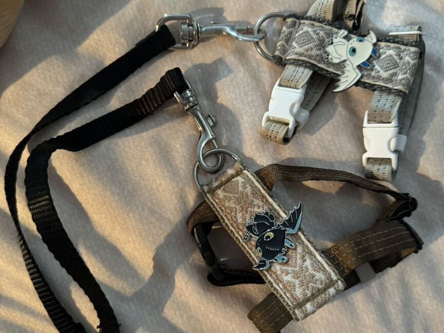 Шлейки для хорьков и сворка