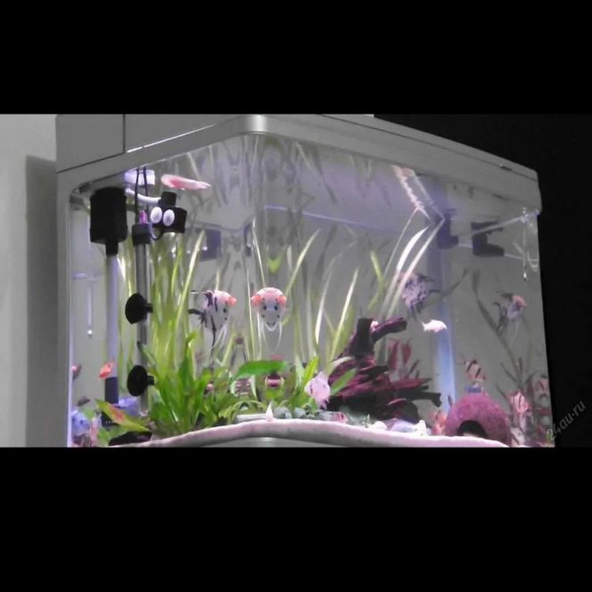 Аквариум Atman AR-F510 80 литров