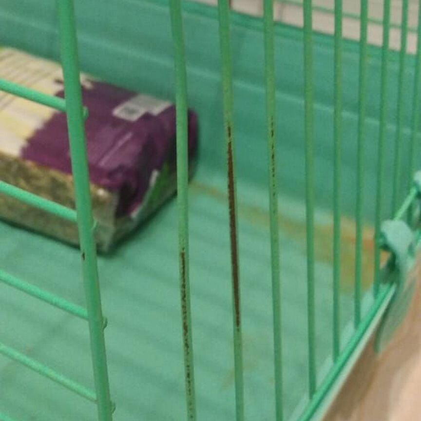 Клетка для грызунов