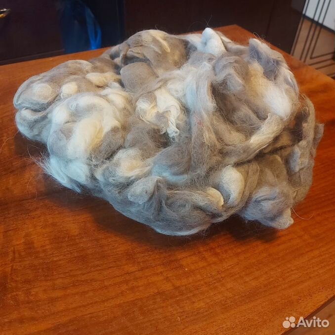 Пух персидского кота