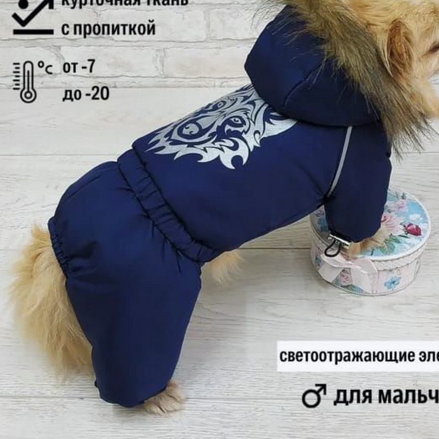 Зимний комбинезон для собак (для мальчика) ml