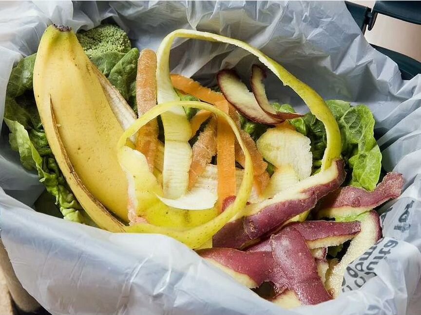 Пищевые отходы