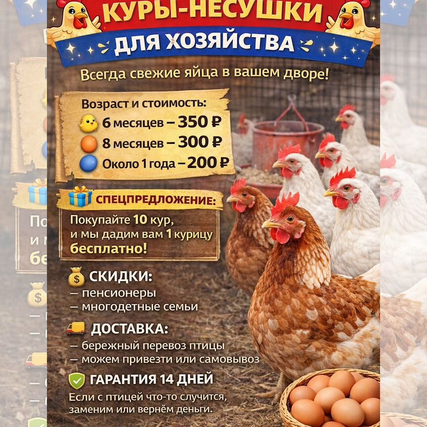 Куры молодки несушки