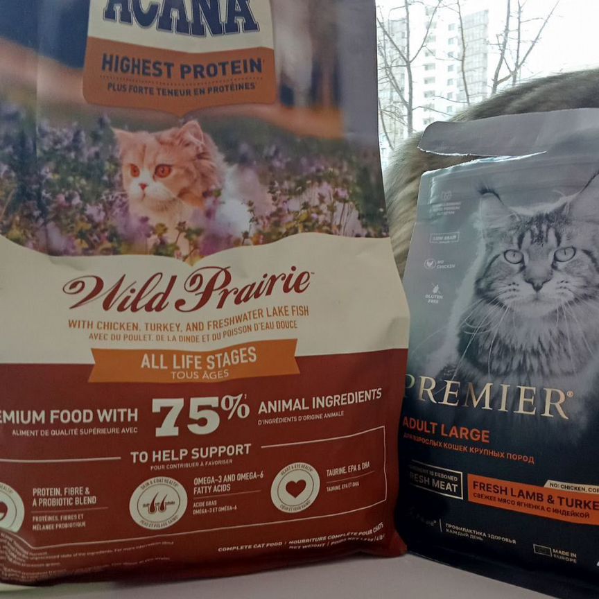 Сухой корм для кошек Acana