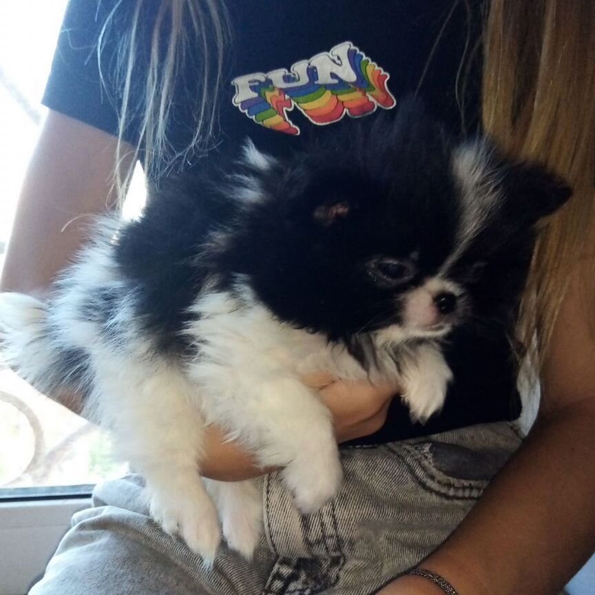Эксклюзив