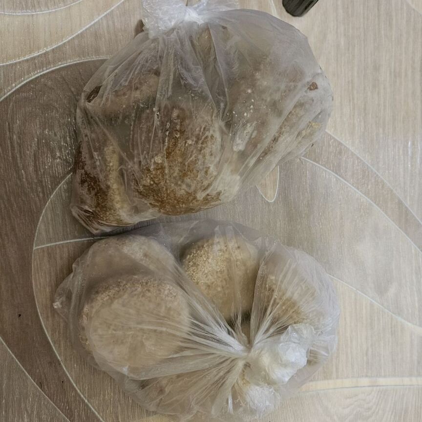 Корм для собак