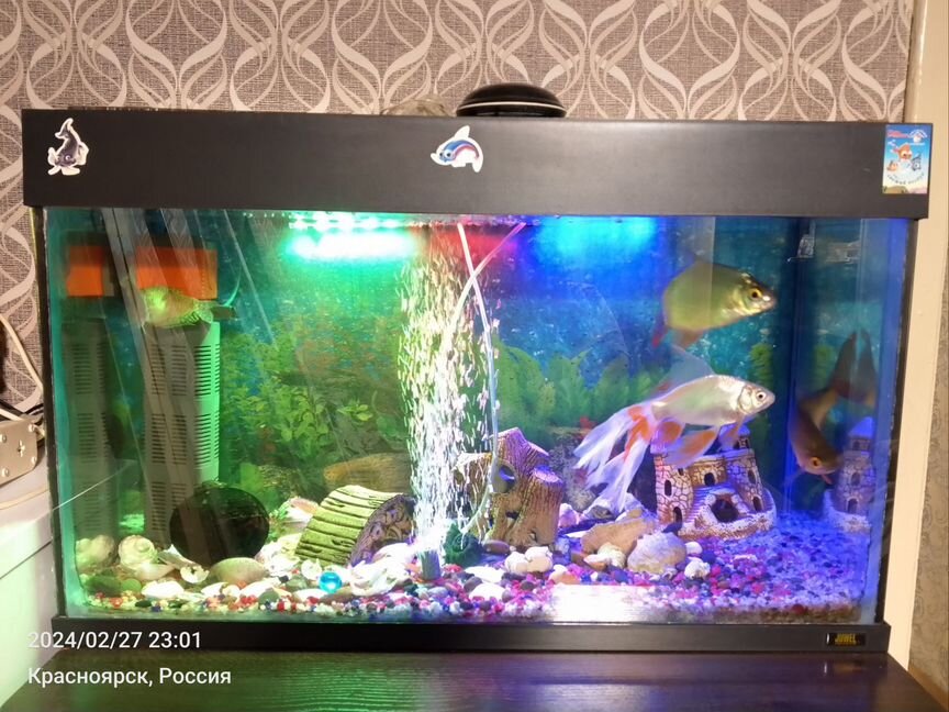 Аквариум с рыбками