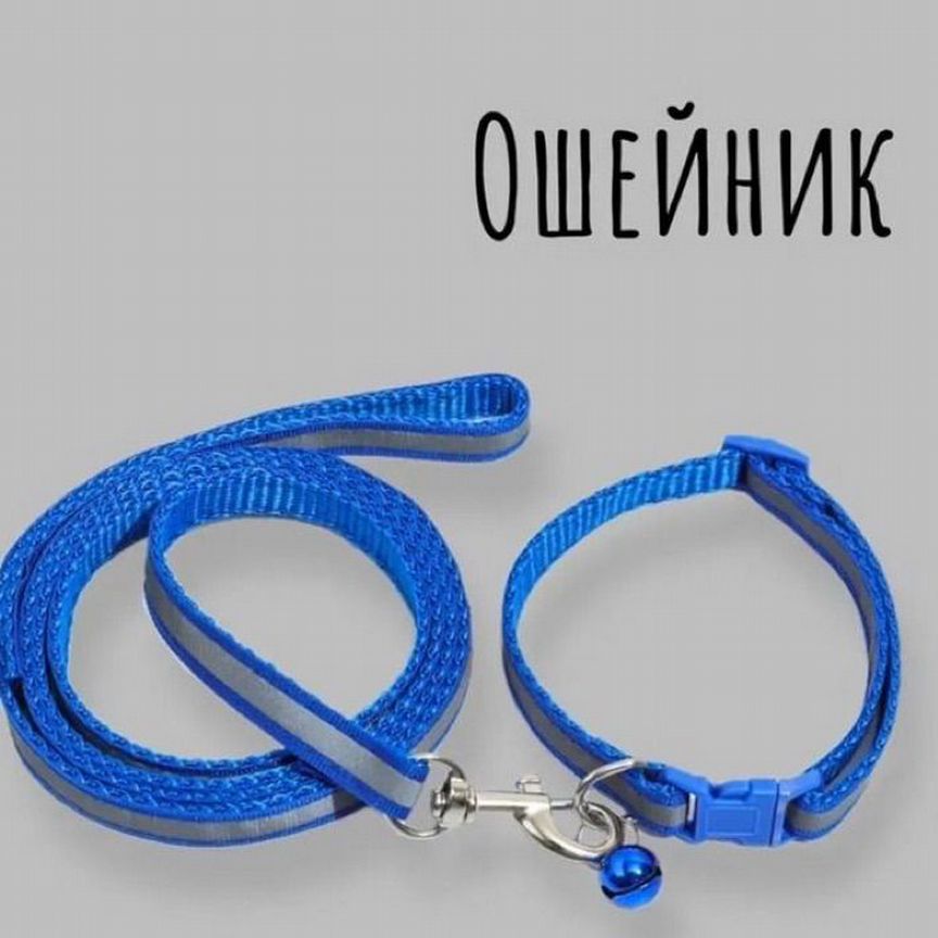 Ошейник и поводок