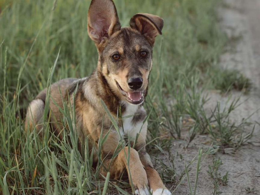 Милейшая Жужа в заботливые ручки