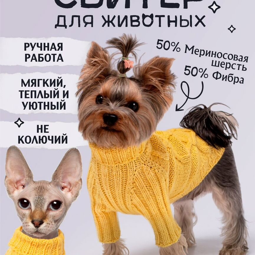 Одежда для собак