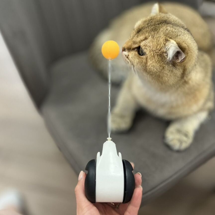 Игрушка для кота