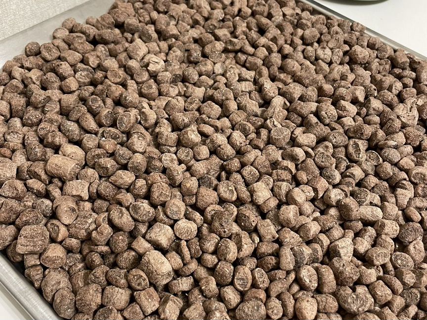 Корм для собак сухой