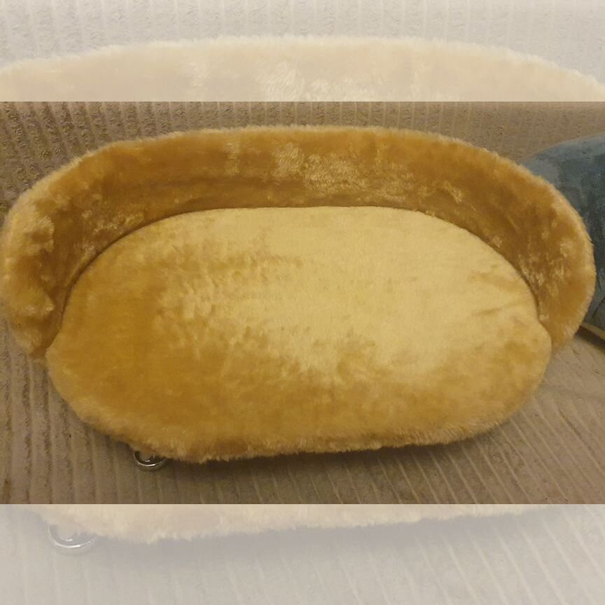 Лежанка для собак