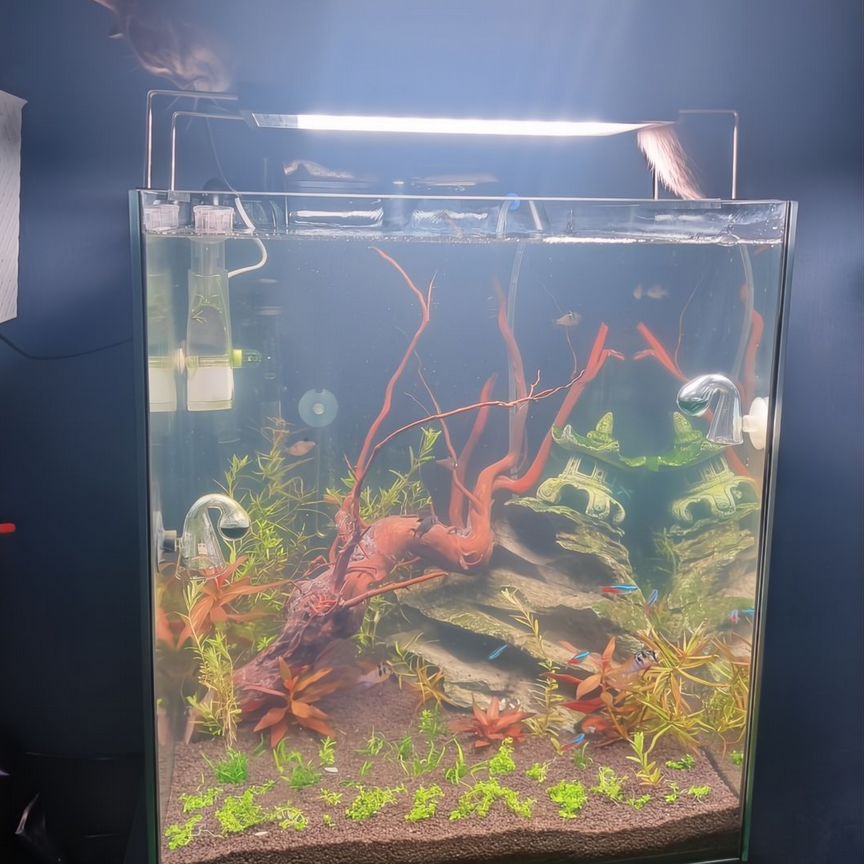Светильник Chihiros wrgb2 PRO 30