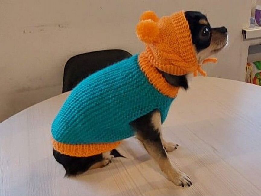 Одежда для маленьких собак