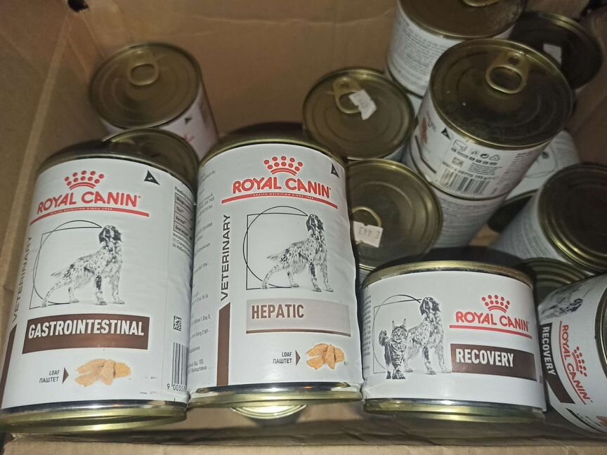 Royal canin recovery hepatic gastrointestinal