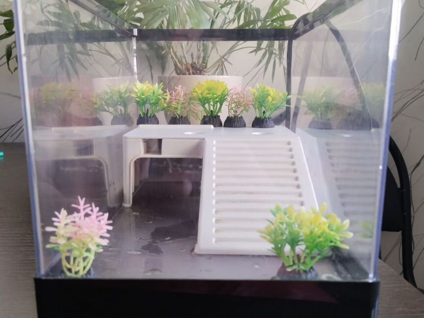 Специальный аквариум для черепах