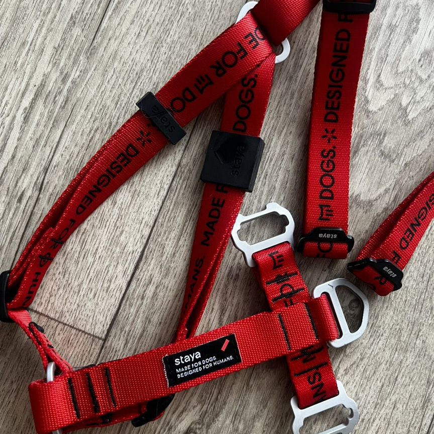 Шлейка для собаки staya