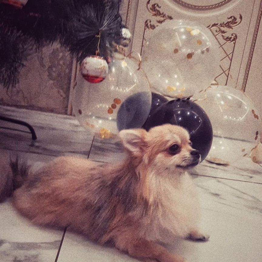 Самые добрые руки