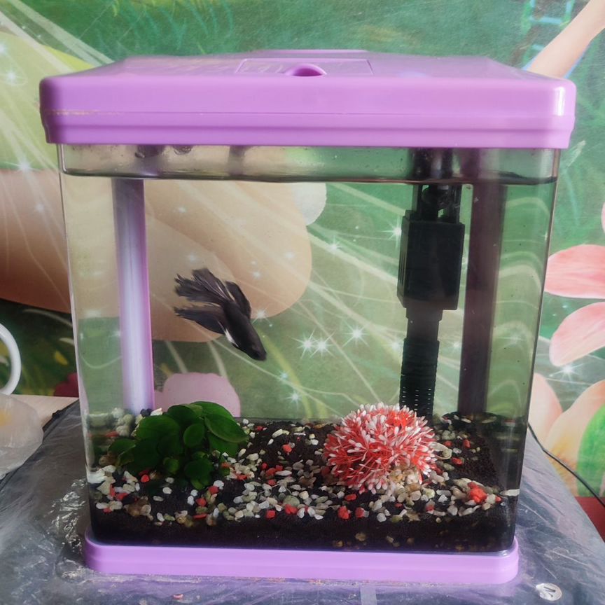 Аквариум 9 литров