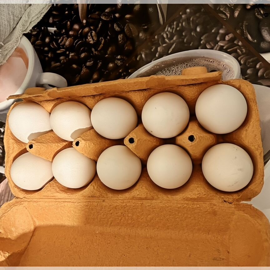Домашние куриные яйца