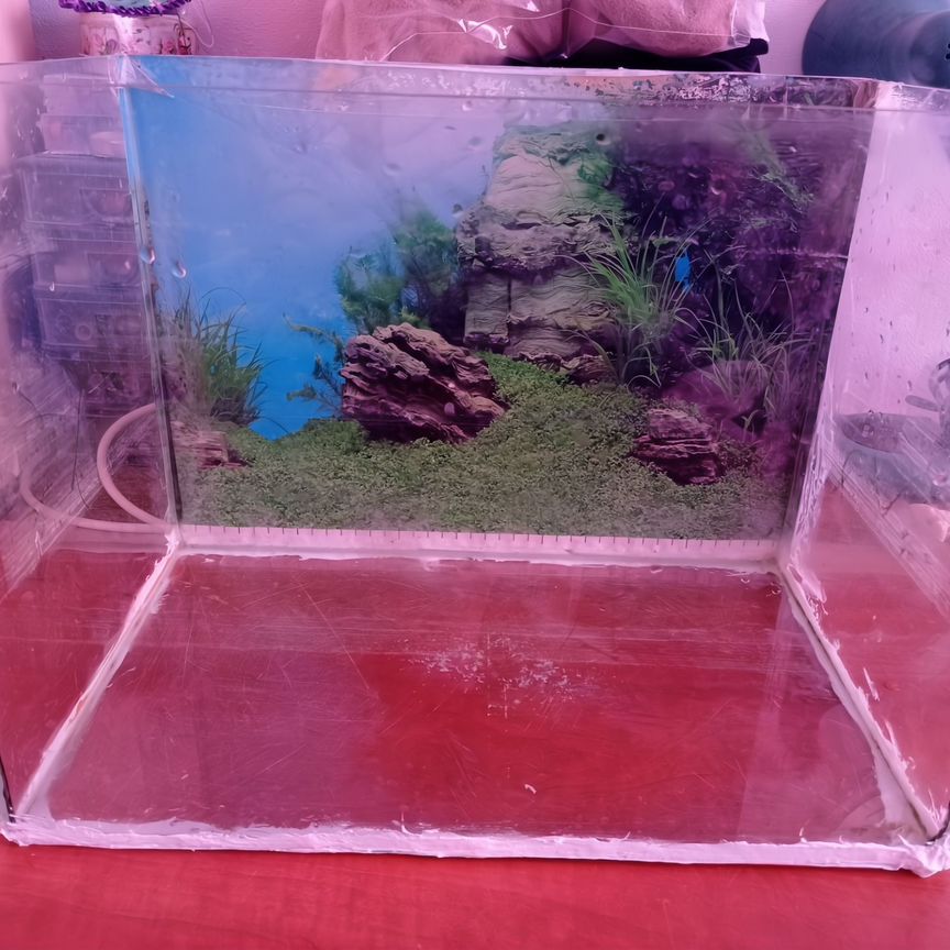 Аквариум с оборудованием