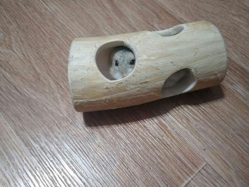 Туннель в клетку для хомячка