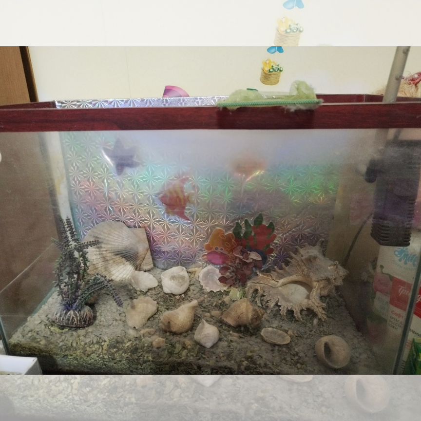 Аквариум 36 л, галька, ракушки