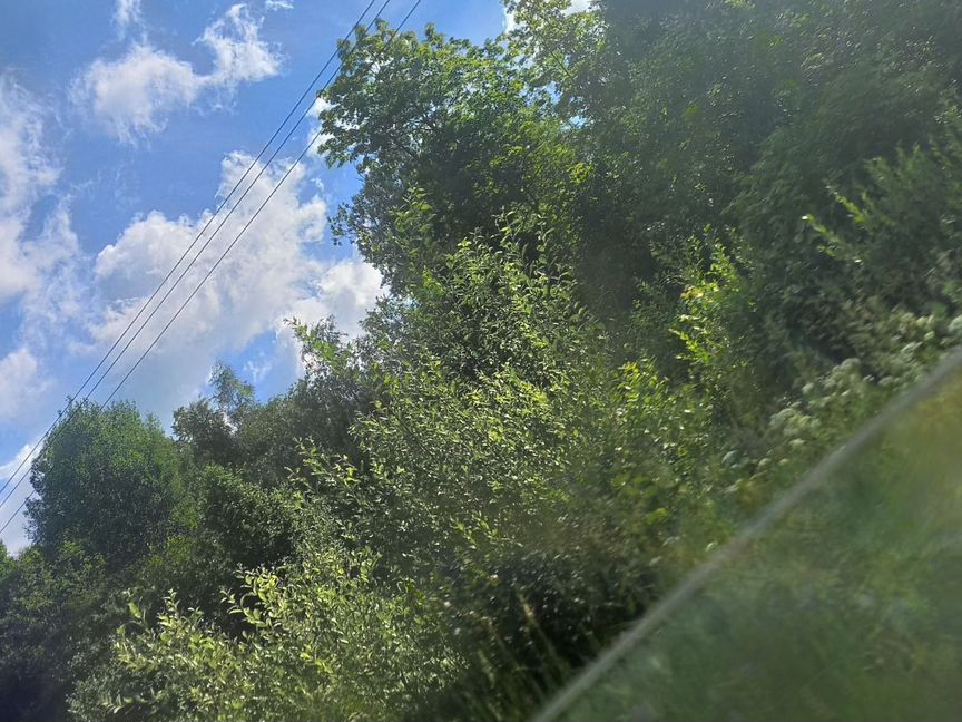 Сено новый урожай 2024г