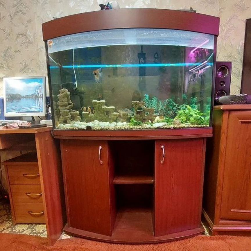 Аквариум с тумбой