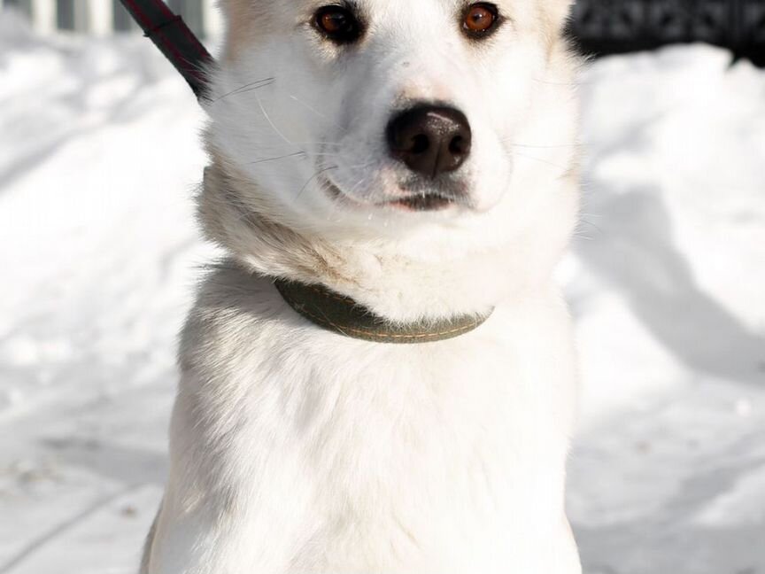 Форс, но не мажор