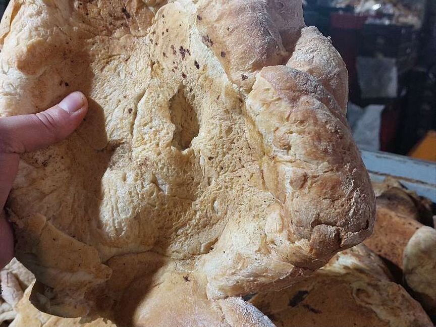 Тесто на корм животным