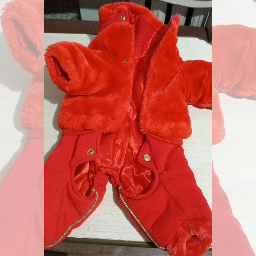 Одежда для собак