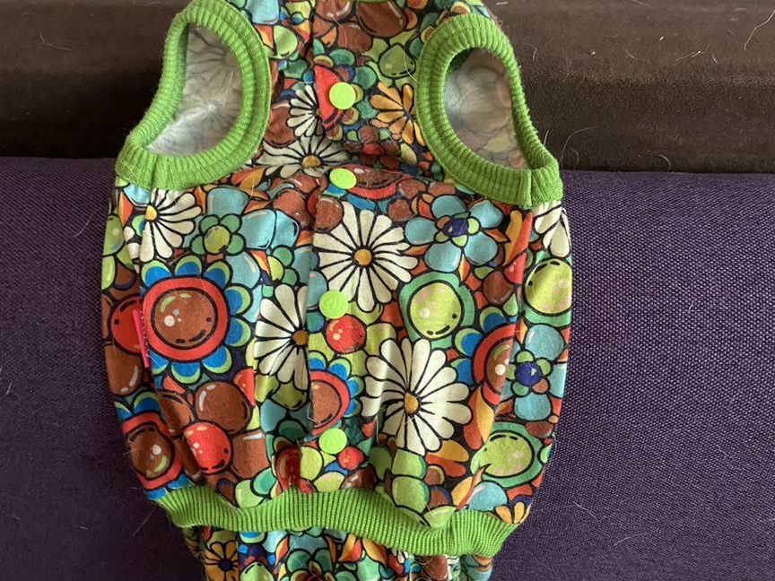 Одежда для собак, воротники