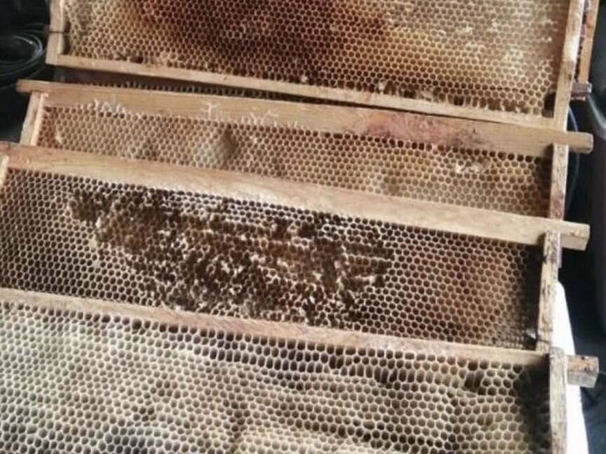 Рамки для сотового меда