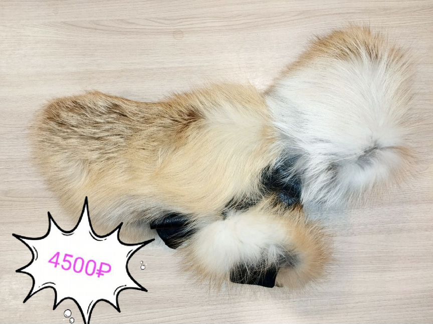 Эксклюзивная одежда для маленьких собак