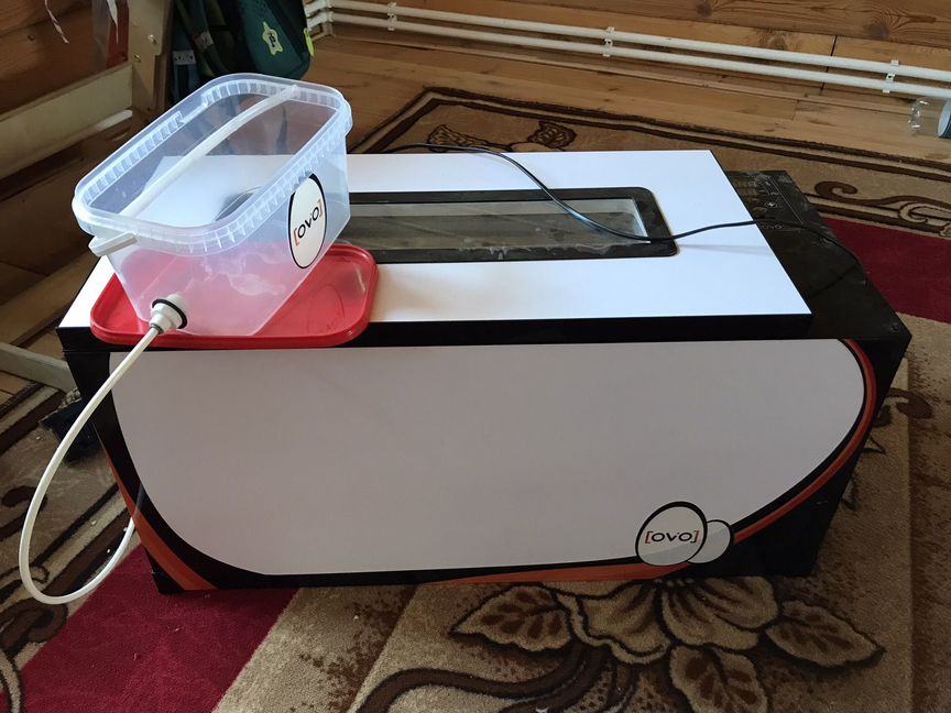 Инкубатор OVO 78