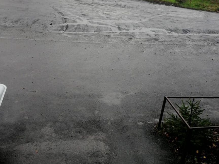 Индюки домашние