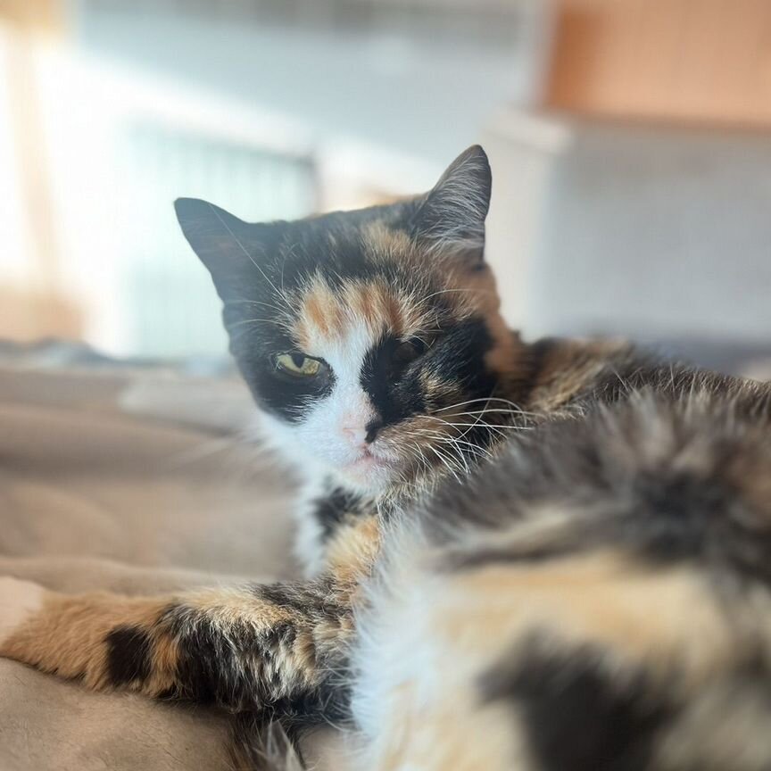 Помоги мне возьми меня в дом