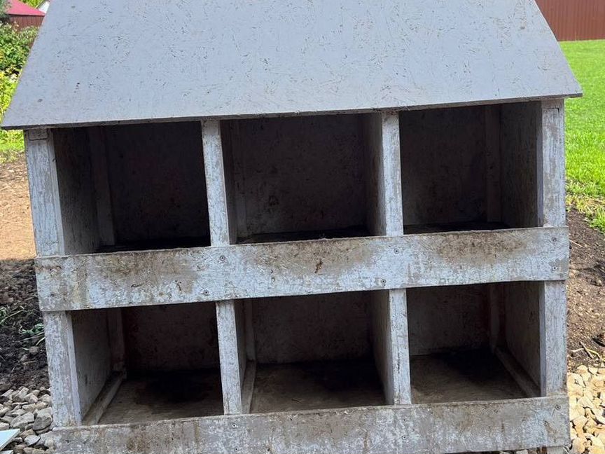 Гнезда для кур