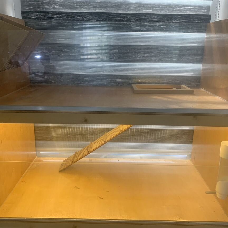 Стеллаж для грызуна