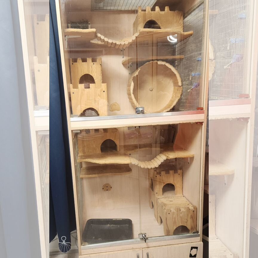 Витрина для шиншиллы б/у