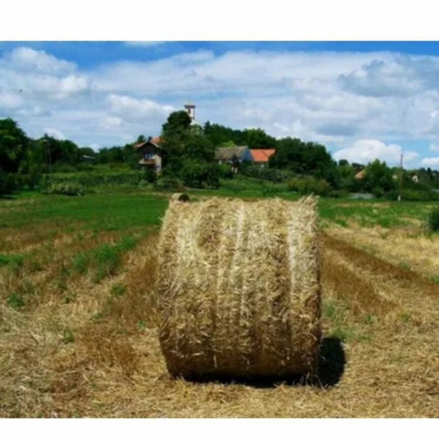 Солома в тюках